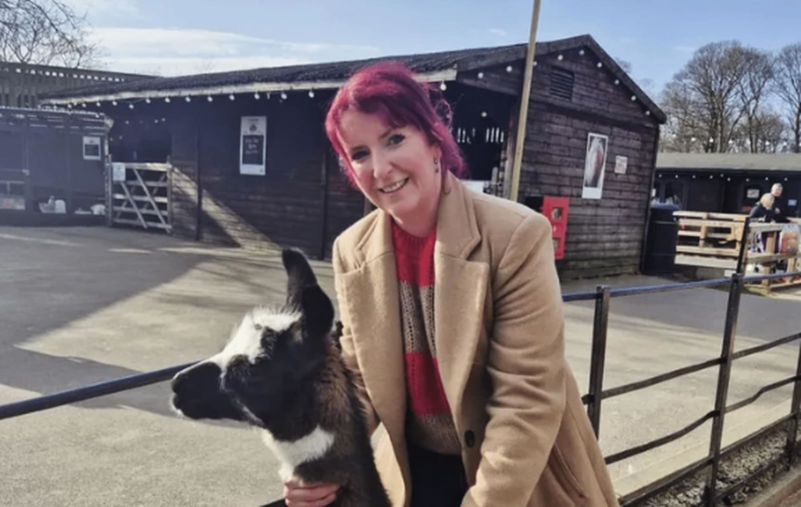 Louise Haigh Backed to Replace Angela Rayner as Deputy PM — But What ...