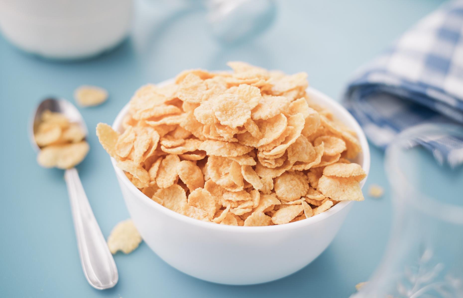 Estos son los alimentos ricos en vitamina D que no pueden faltar en tu ...