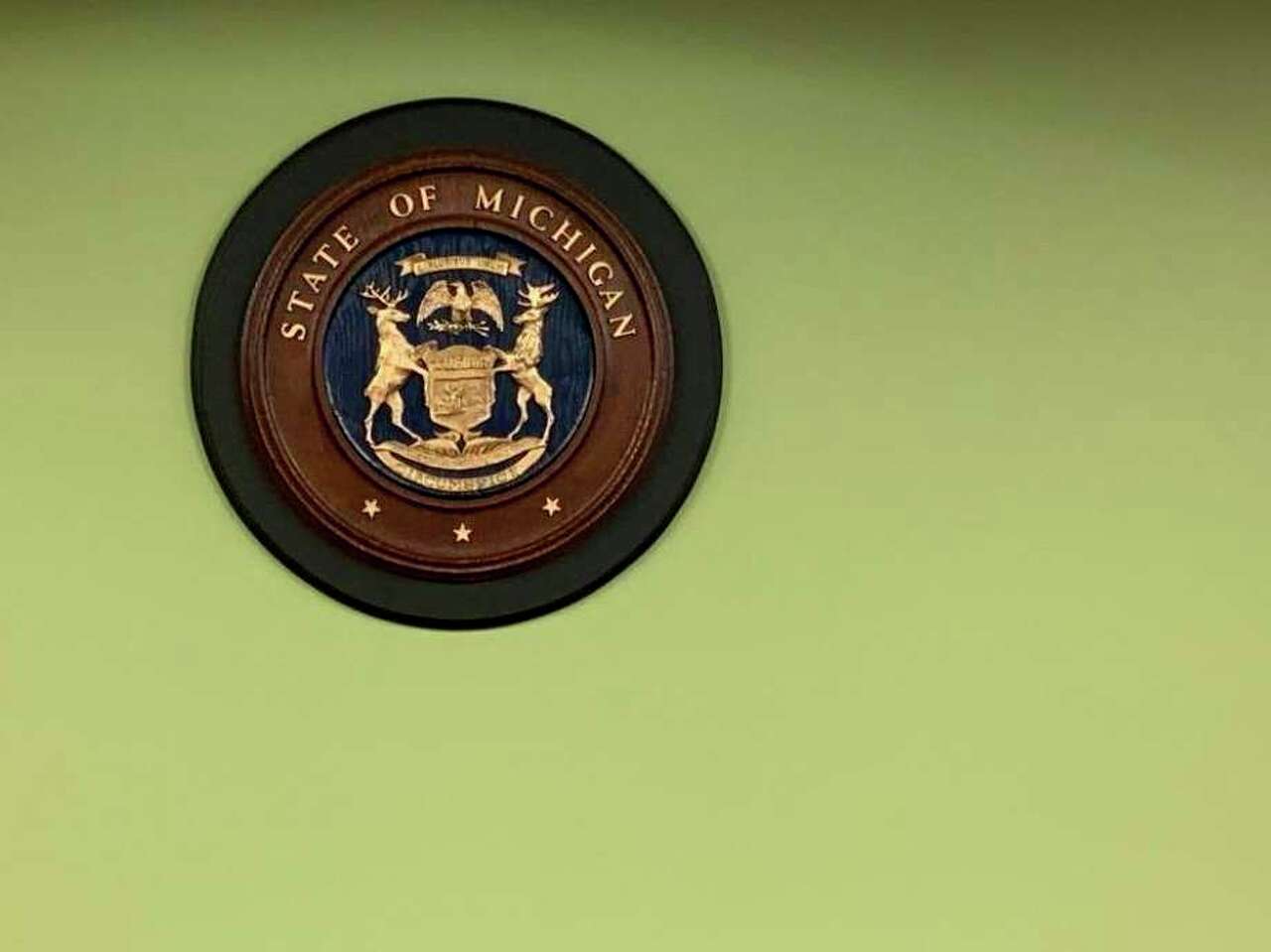 Bad Axe woman guilty of driving while impaired