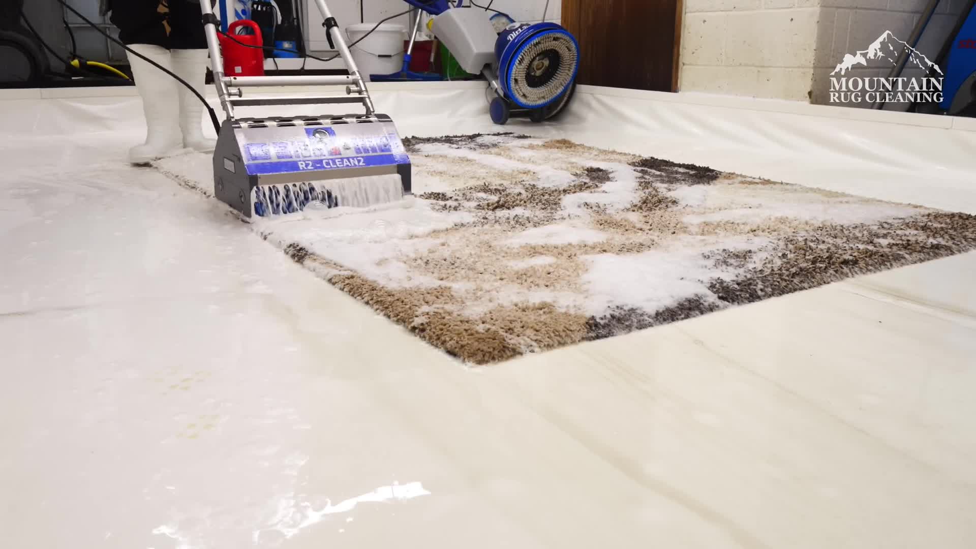 Satisfying transformation | deep rug cleaning ASMR