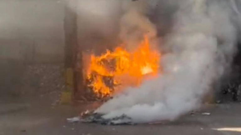 Vape ban isn't working, says waste firm boss