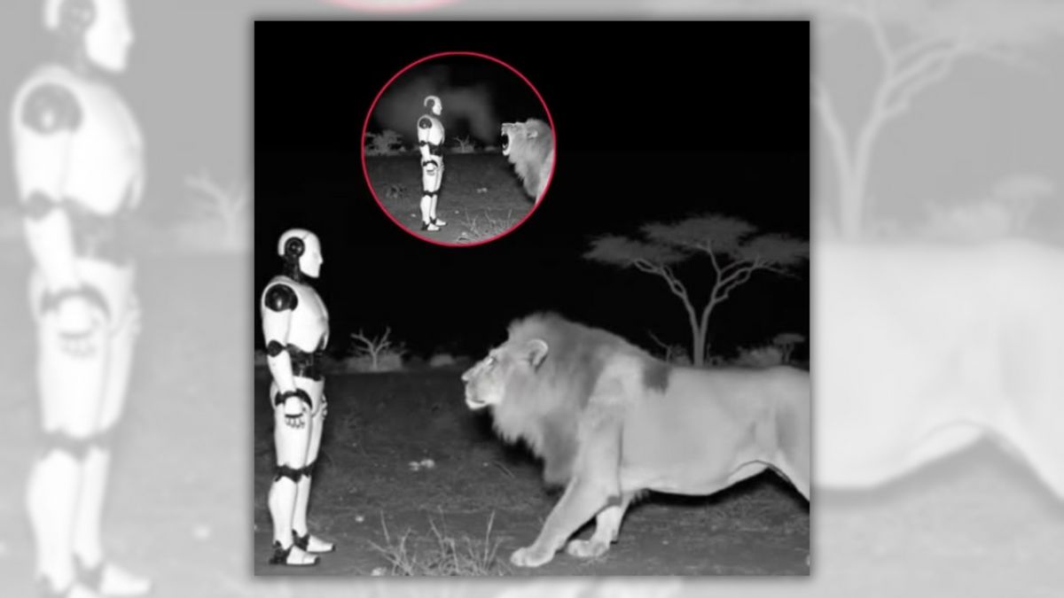 Did AI robot suffer PTSD after it was scared by lion?