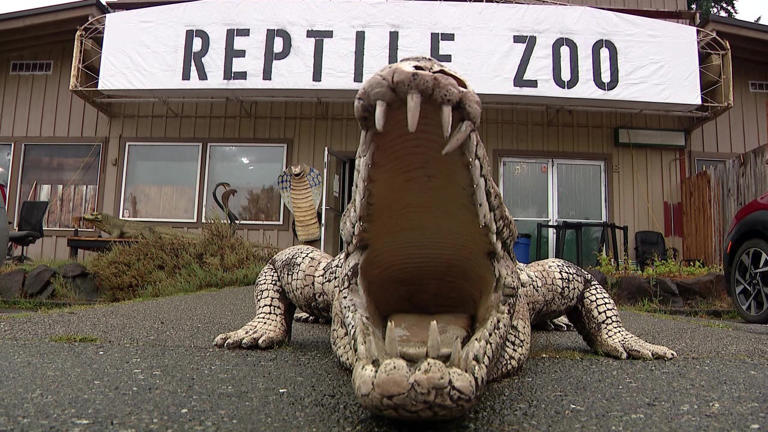 Reptile zoo says goodbye to Monroe, WA community following attempts to ...
