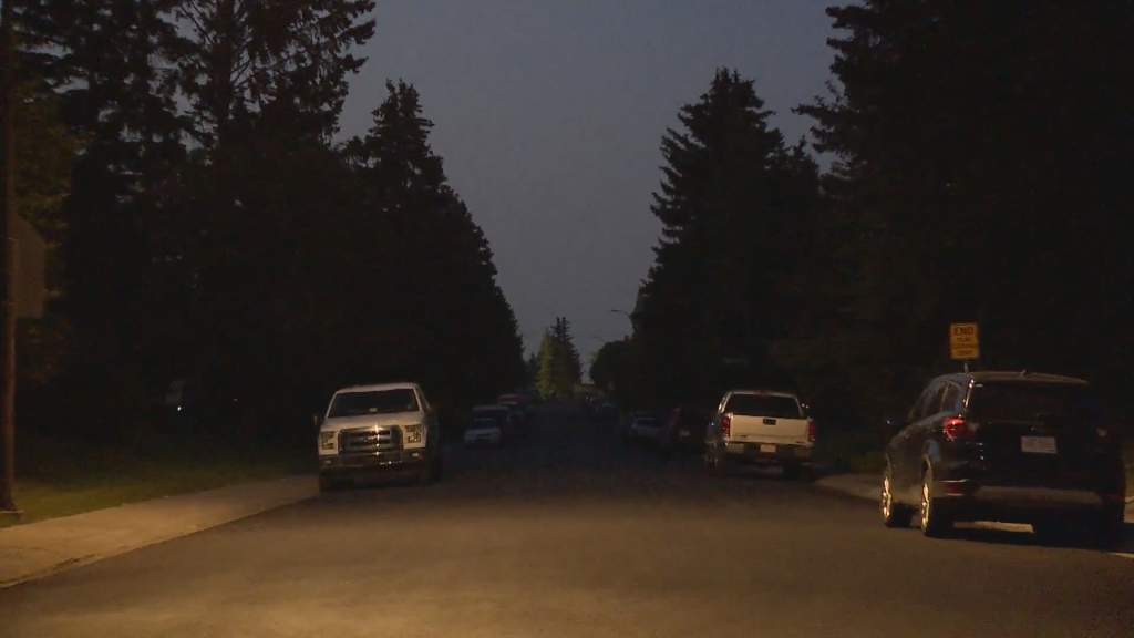 ‘It’s pitch black’: Streetlight outages leave northeast Calgary ...