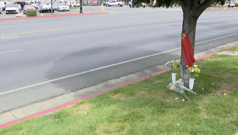 Suspected DUI driver who hit and killed ‘heroic’ husband on sidewalk is ...
