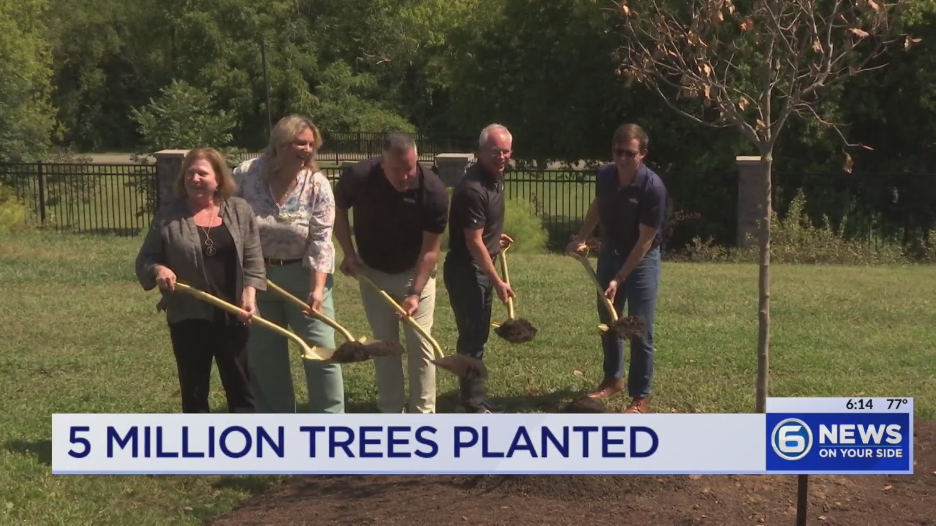 5 Million Trees planted