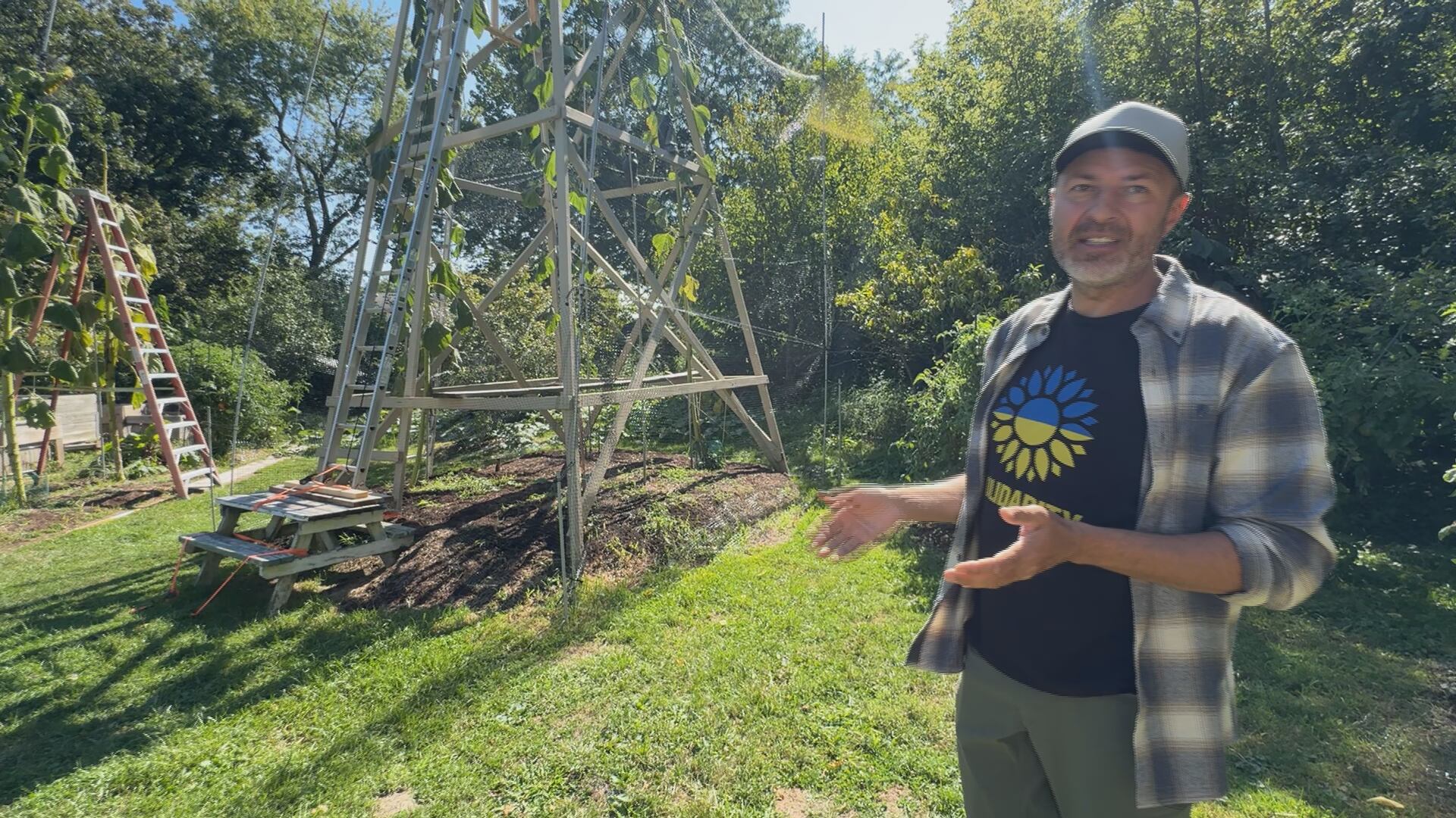 Fort Wayne man sets world record for tallest sunflower, first in the U.S
