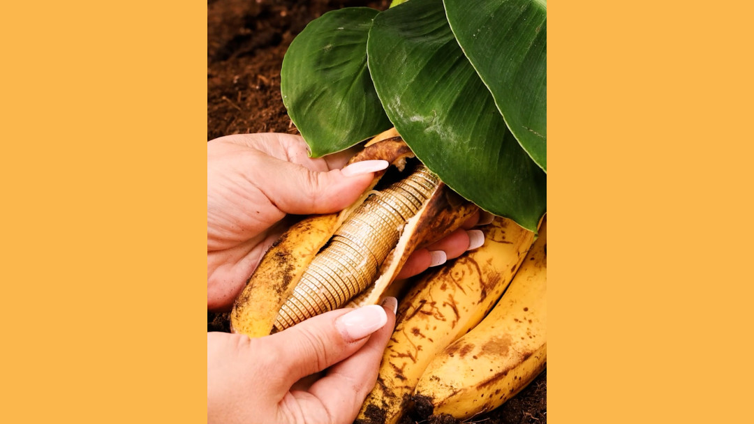 Useful Banana Hacks you didn't know