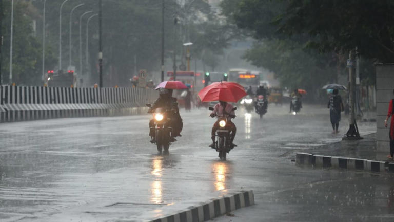 Tamil Nadu Weather Alert: Heavy rainfall forecast in 11 districts for 2 days