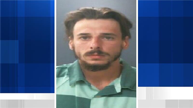 Deputies arrest wanted man on the run in Fannin County