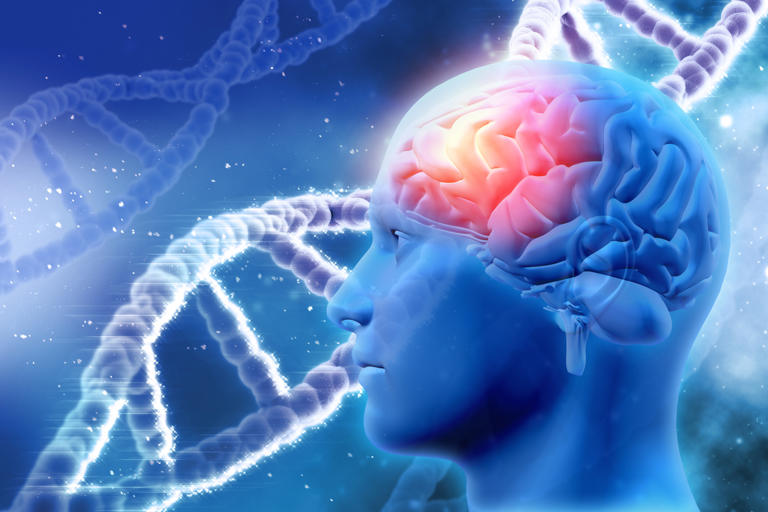 Human evolution may explain high autism rates