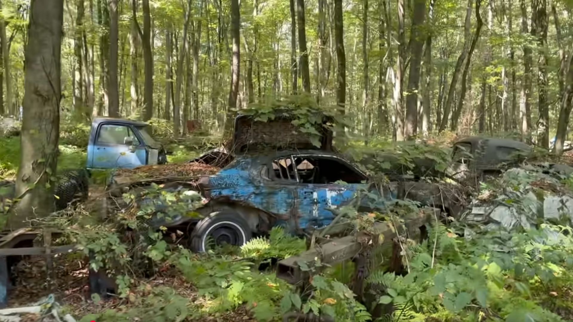 Rare Mopar Muscle Cars Hide In A Tennessee Forest