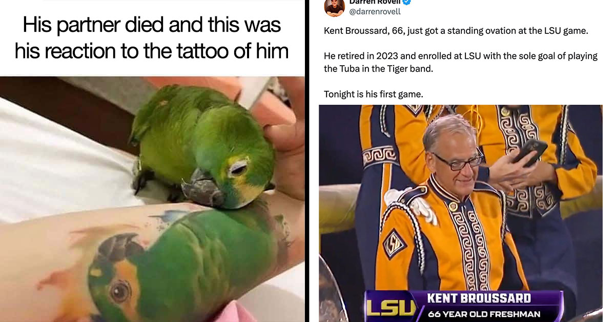 25+ Amazingly Wholesome Posts That Were Just Plain Lovely Today ...