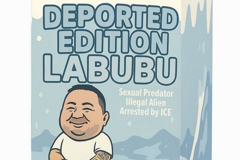 White House posts mocking 'deported immigrant Lababu' meme as viewers ...