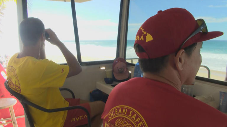 Two Hilo beaches closed due to shark sighting