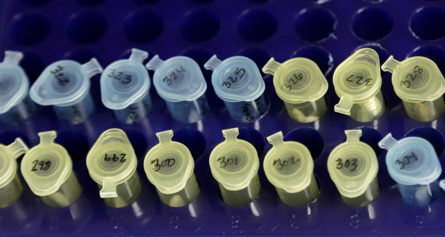 DNA in 1994 California sexual assault links man to 4 Arizona cold cases