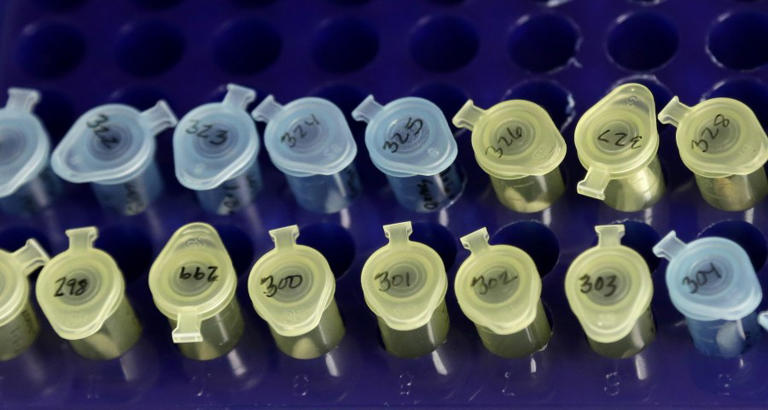 DNA in 1994 California sexual assault links man to 4 Arizona cold cases