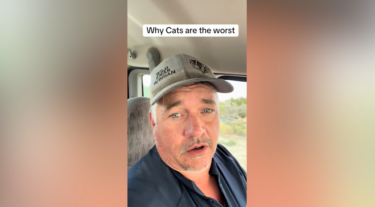Man Explains Why Cats 'Are The Worst' Pets—But There's A Twist