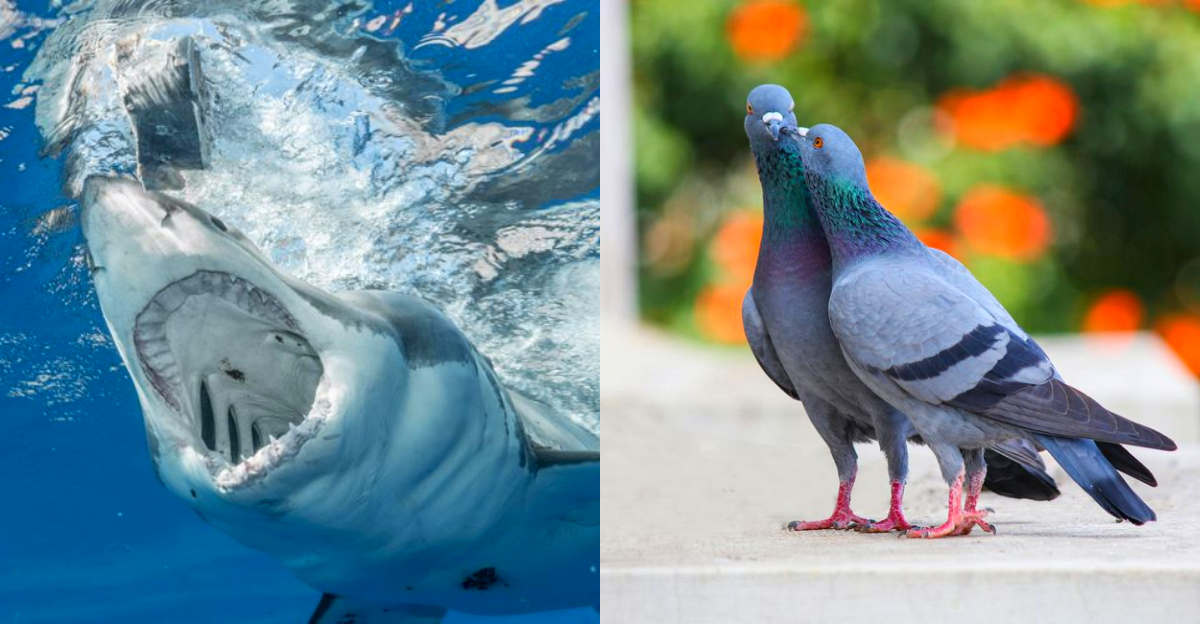 11 Animals That Can Do Things Science Can’t Fully Explain