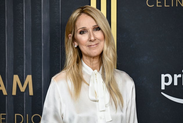 Céline Dion's Rep Hits Back At 'Entirely False And Potentially Damaging ...