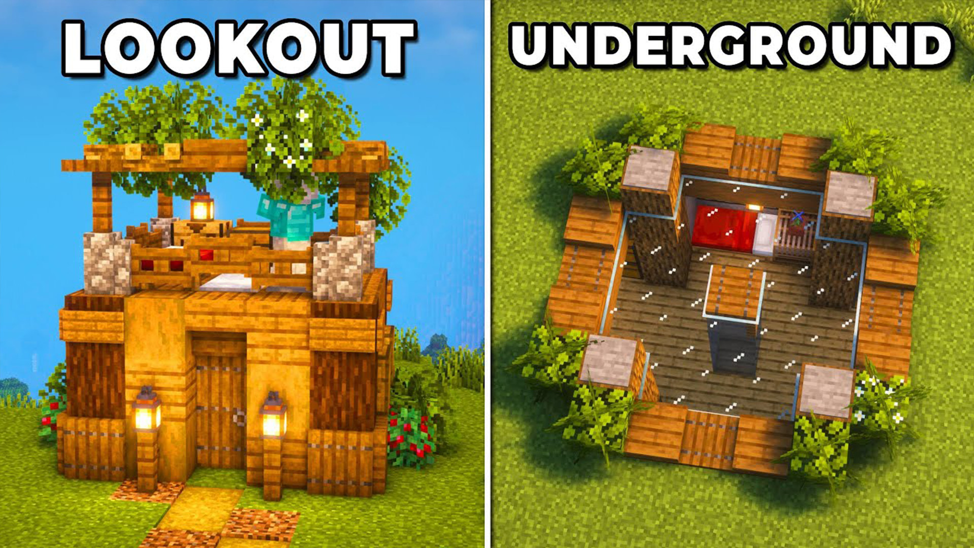 Simple Starter Base Designs for Survival