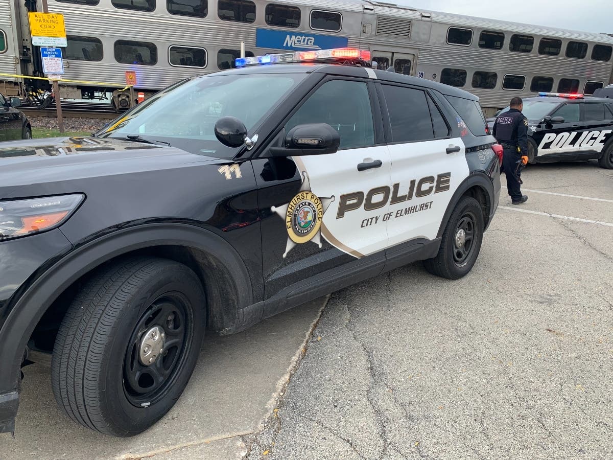 Dog Argument Prompts Elmhurst Disturbance Call: Cops