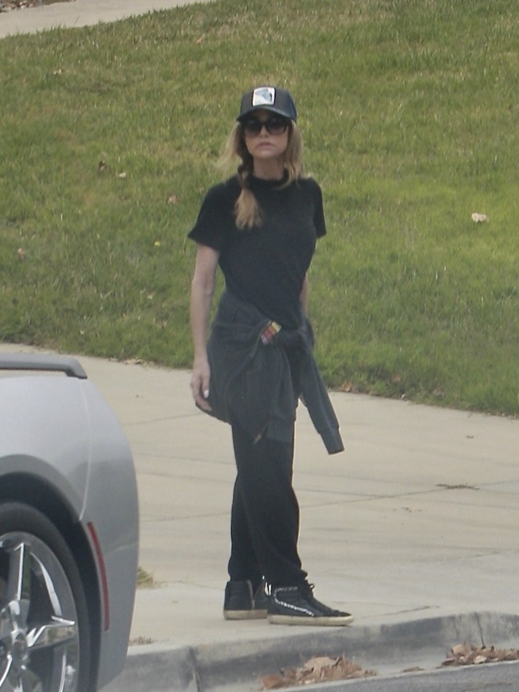 Denise Richards returns to filthy marital home to rescue 15 dogs from ...