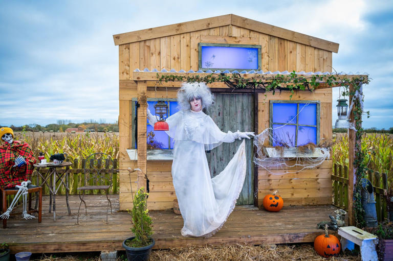 Yorkshire’s ultimate family Halloween experience ‘Trick or Treat Street ...