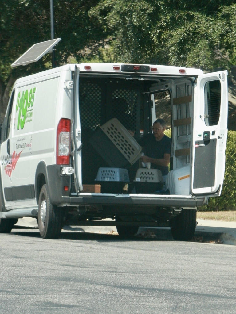 Denise Richards returns to filthy marital home to rescue 15 dogs from ...