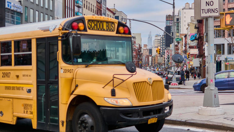 The untold story of the American school bus and why this icon still ...