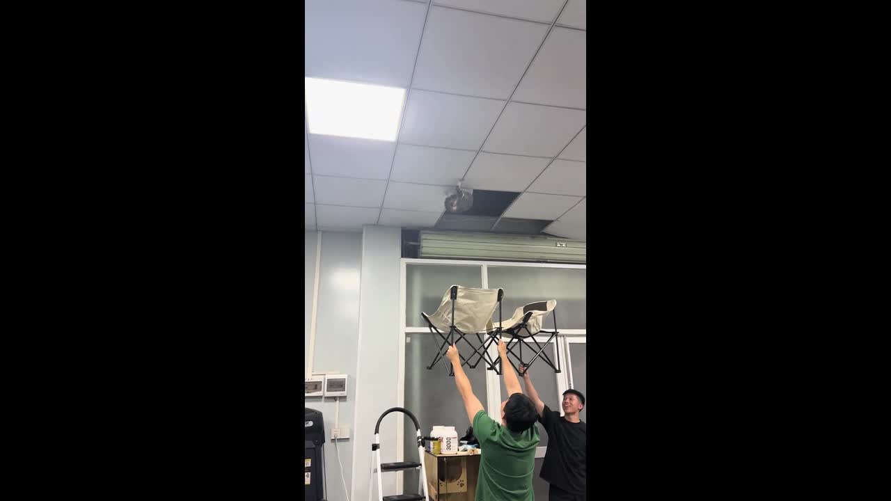 Men use camping chairs to catch cat falling from ceiling