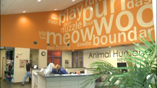 Animal Humane New Mexico warns community about missing pet scam calls