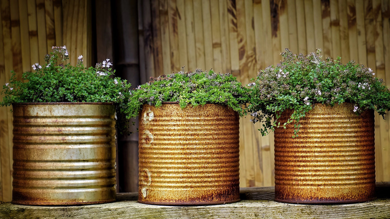 How To DIY Rusty Tin Cans For Fall Porch Decor With Three Kitchen ...