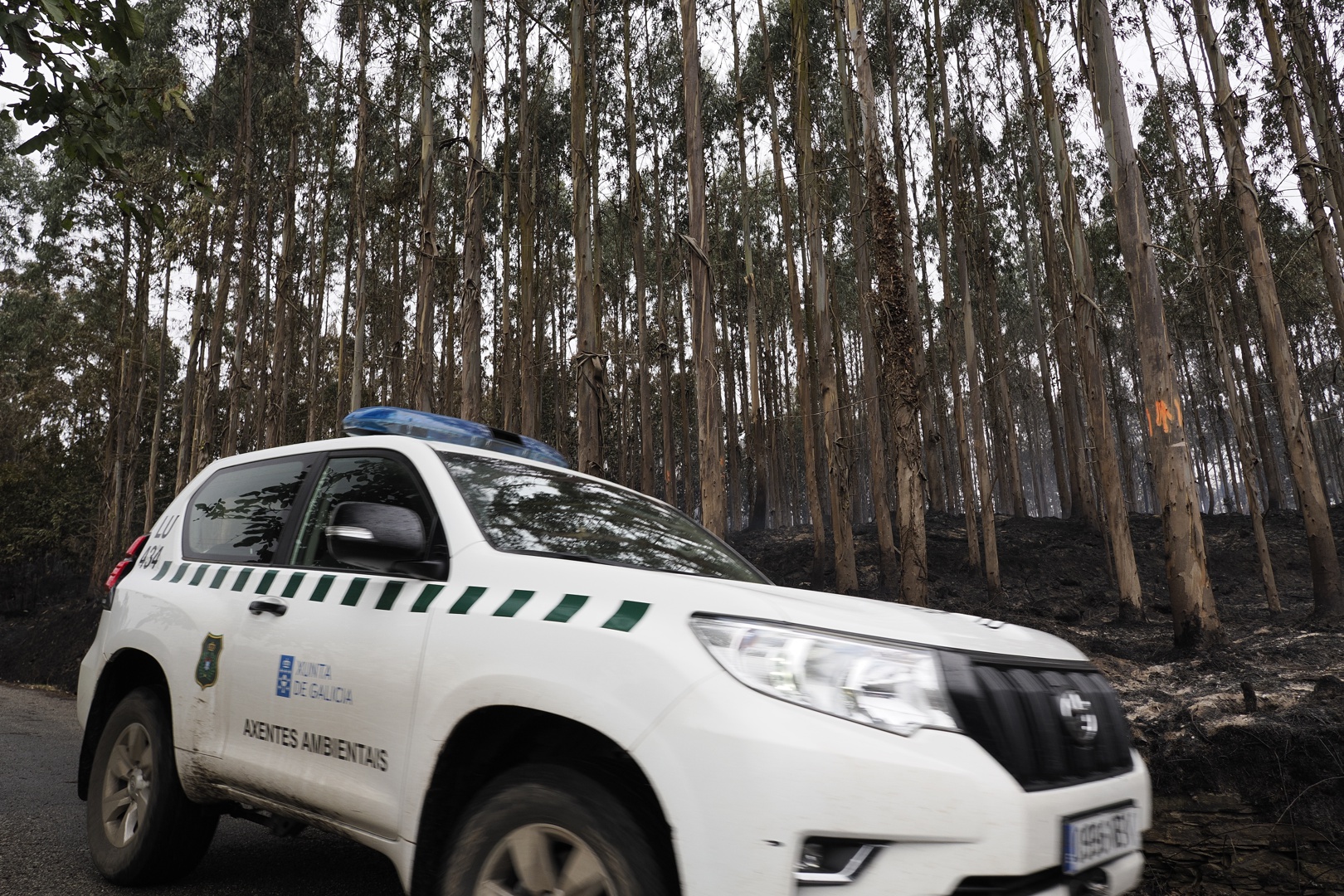Estabilizado el fuego de Barreiros (Lugo) en el que resultaron heridos ...