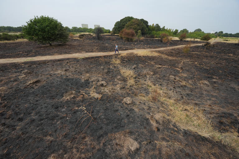 Groundwater and reservoir levels continue to recede despite rain ...