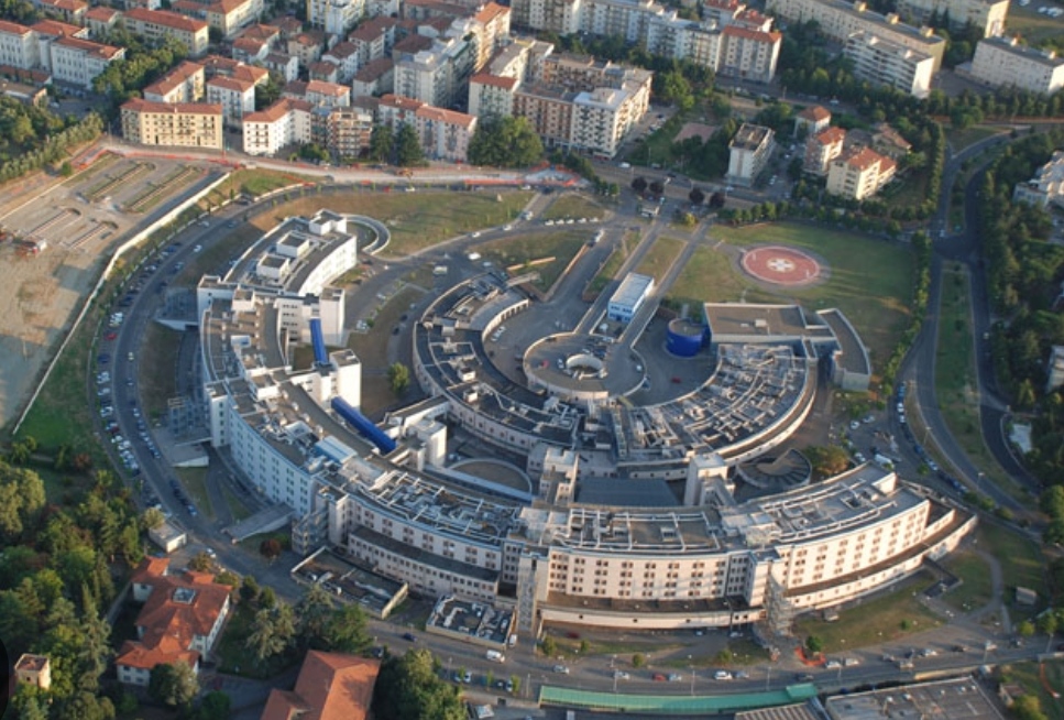 Caso di 'mucca pazza' all'ospedale di Arezzo, l'Asl: "Non è legato al ...