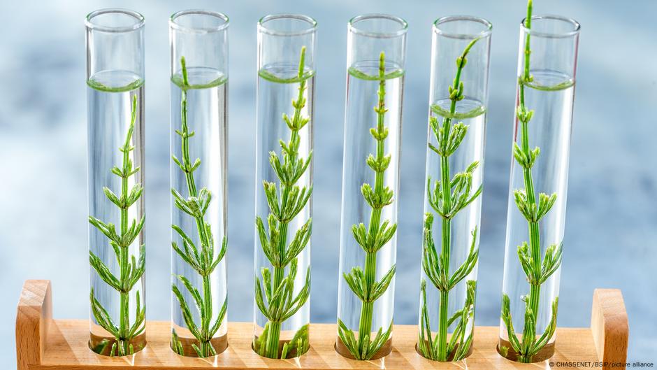 Why does genetic engineering have such a bad image?