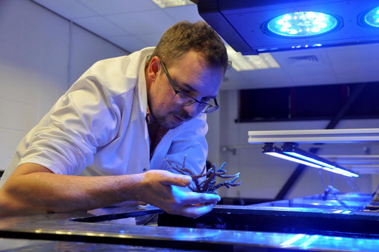National award shortlist recognises outstanding research mentorship