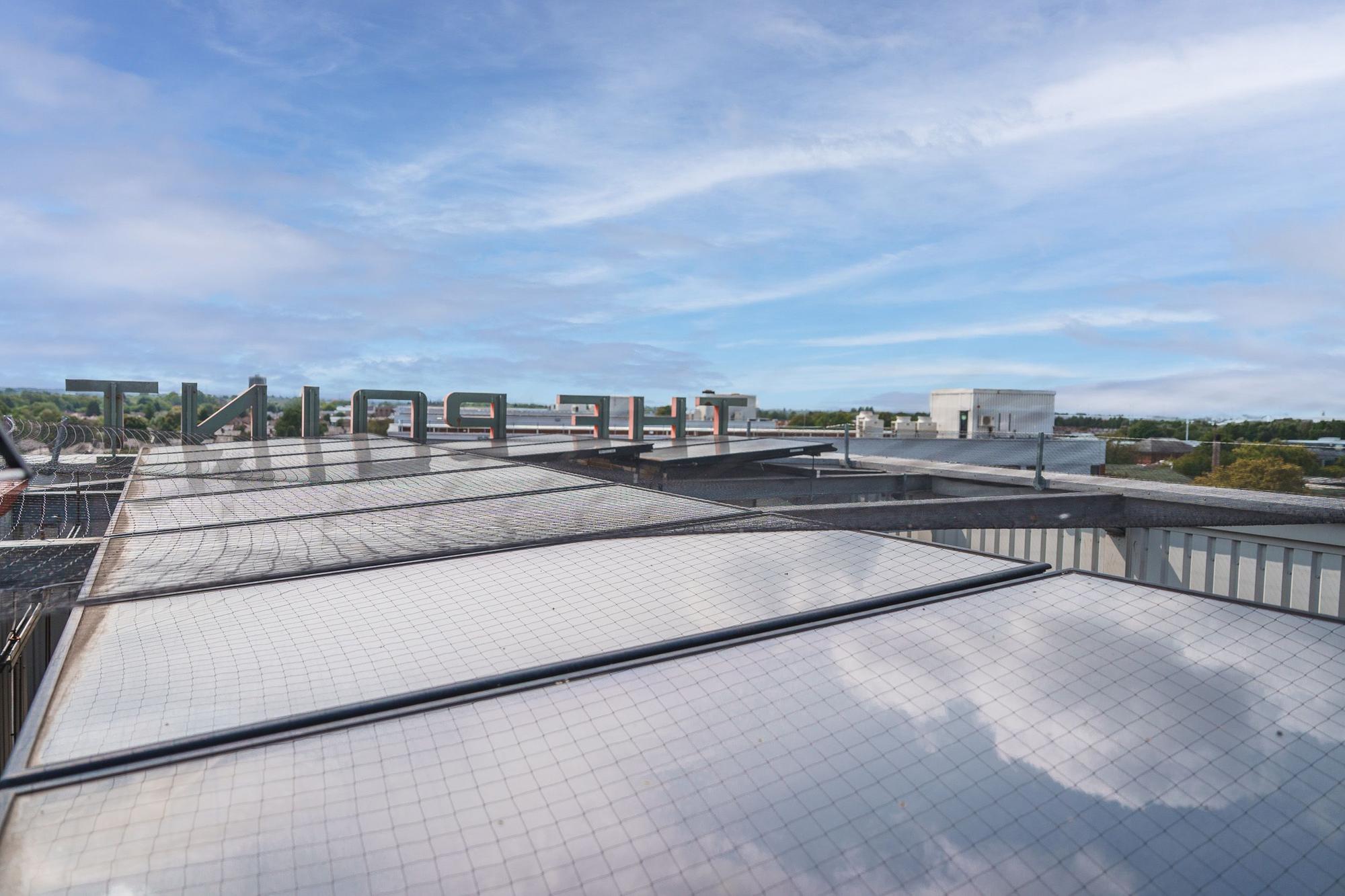 10 years not out: GM sustainability experts Green Economy lay ...