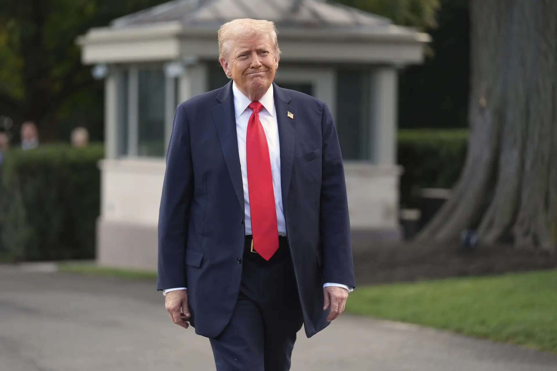 Is Trump destined for glory or chaos? Tarot reader sees Knights ...