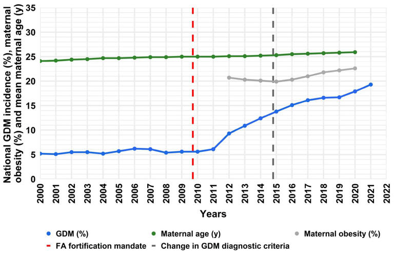 Researchers identify link between excessive folate and gestational diabetes