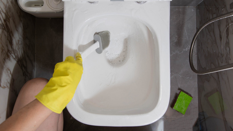 Common Toilet Stains That Are A Telltale Sign Of Hard Water
