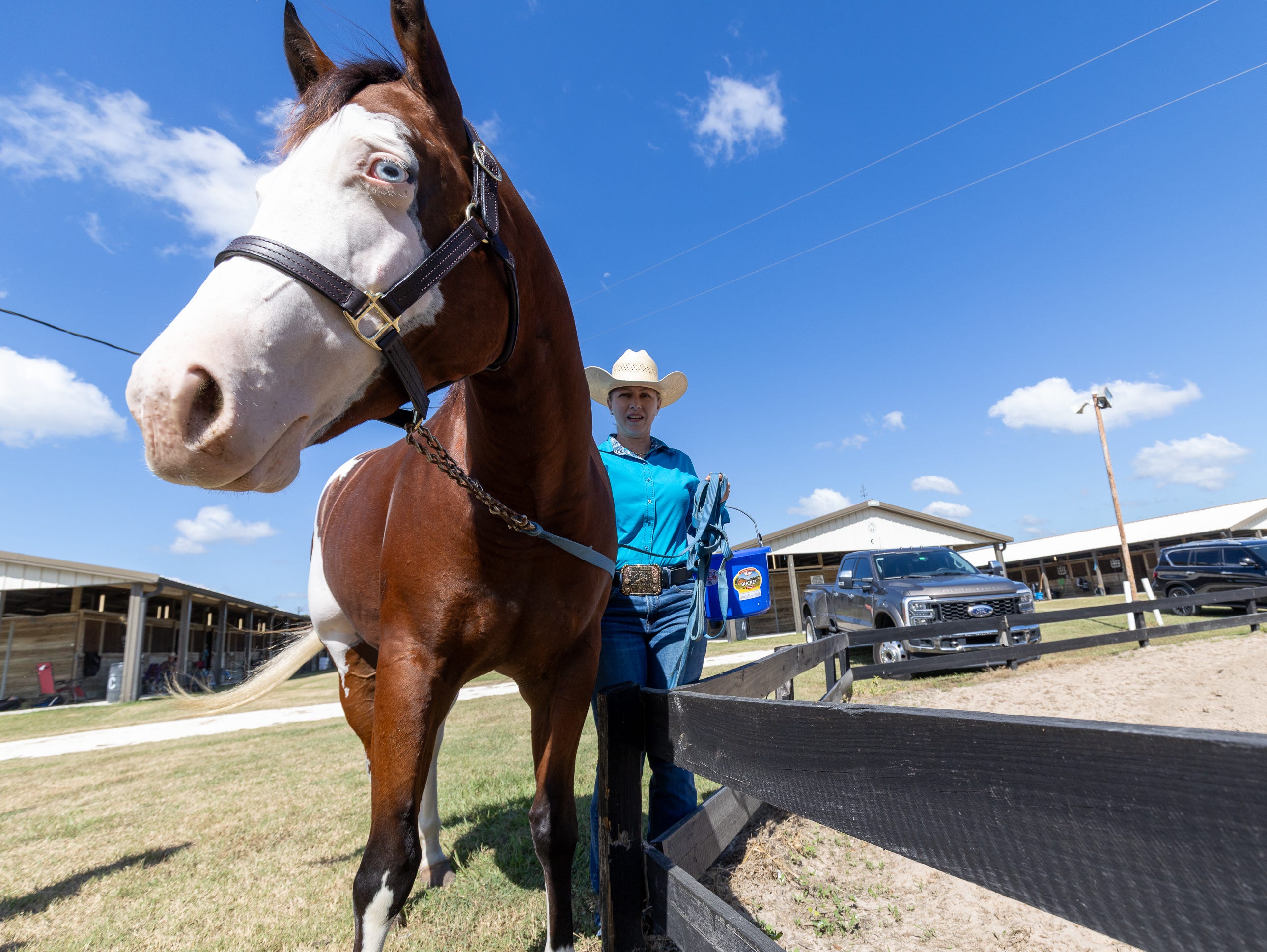 PHOTOS & VIDEO: Florida Color Horse Club holds 'United Colors' show in ...
