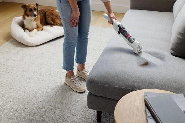 Shark's 'fantastic' new cleaning tool tackles tough stains in 'less ...