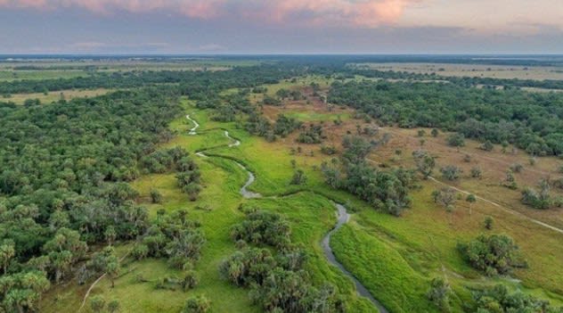 Florida Forever Program Celebrates 200th Conservation Easement ...