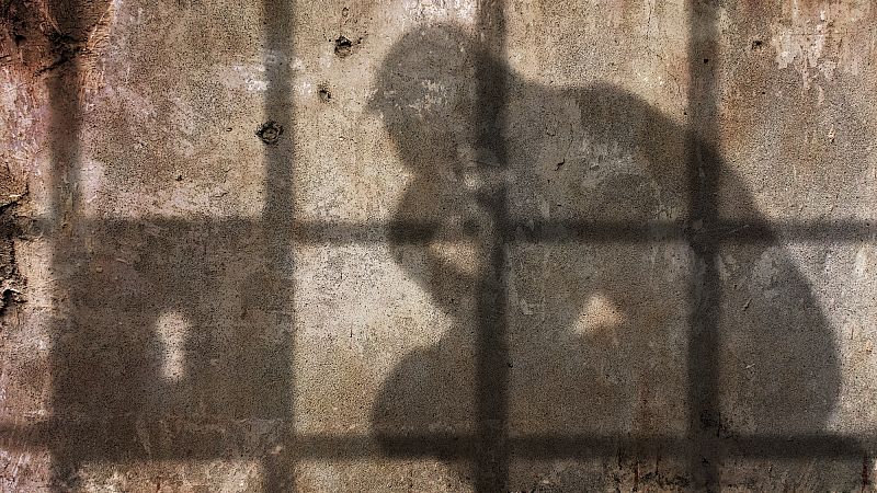 Prisoners in Cuba forced into labour for exports to Europe, report claims