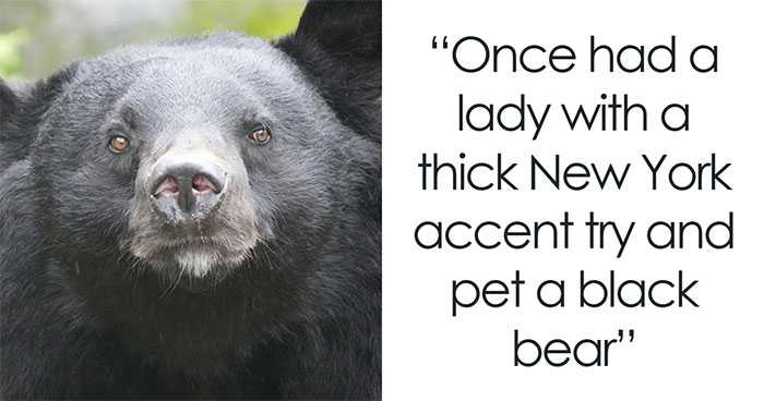 “He Wasn’t Even Ashamed”: 24 Ridiculous Tourist Moments Tour Guides Can ...
