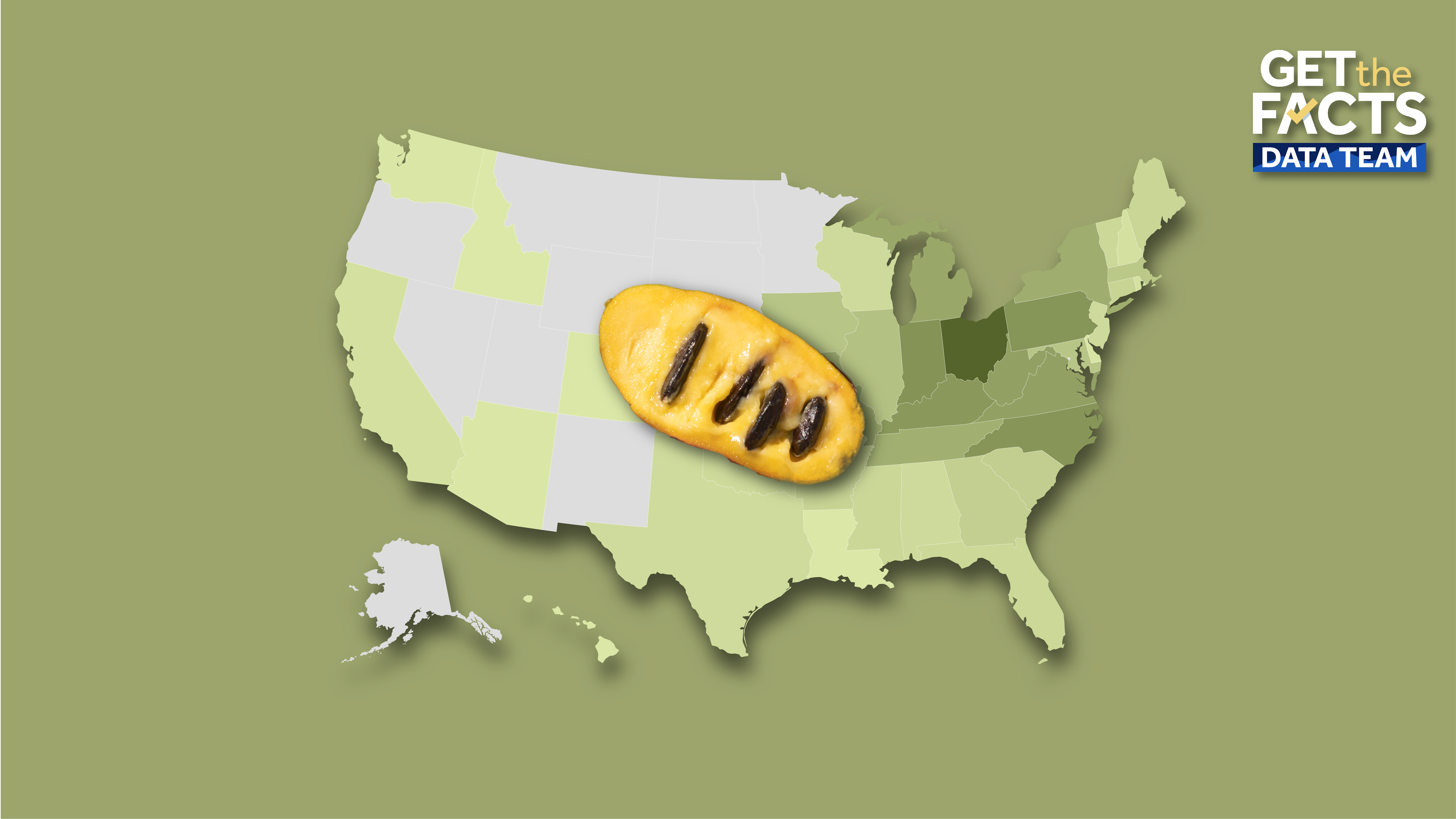 What’s a pawpaw? See where the largest fruit native to the US grows