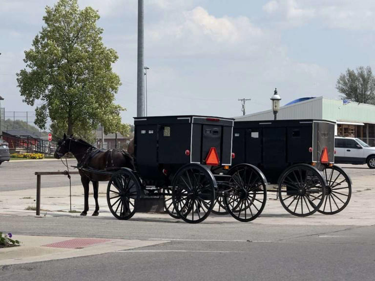 Things to do in Northern Indiana: A hip grandma’s travel guide