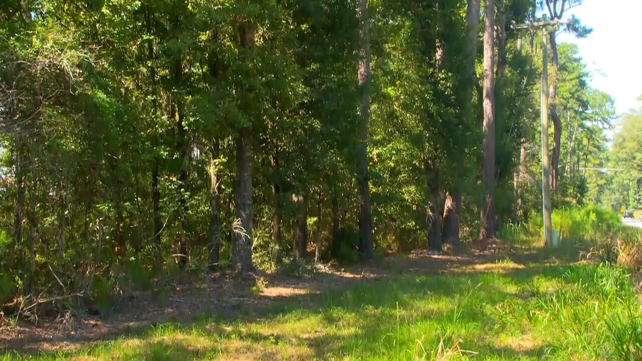 Charleston County leaders to deny zoning request amid surge in developments